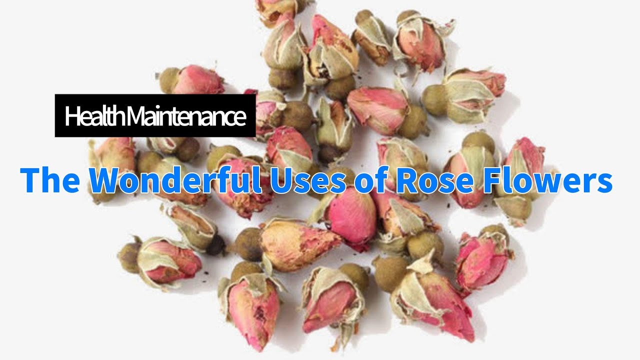How to Use Rose Flowers for Health and Beauty? #Health Maintenance ...