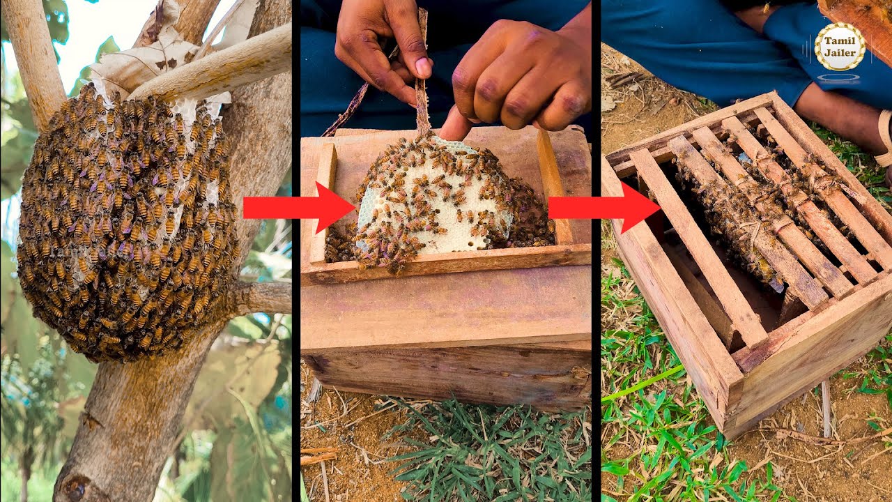 How to make a Beehive at home? - YouTube