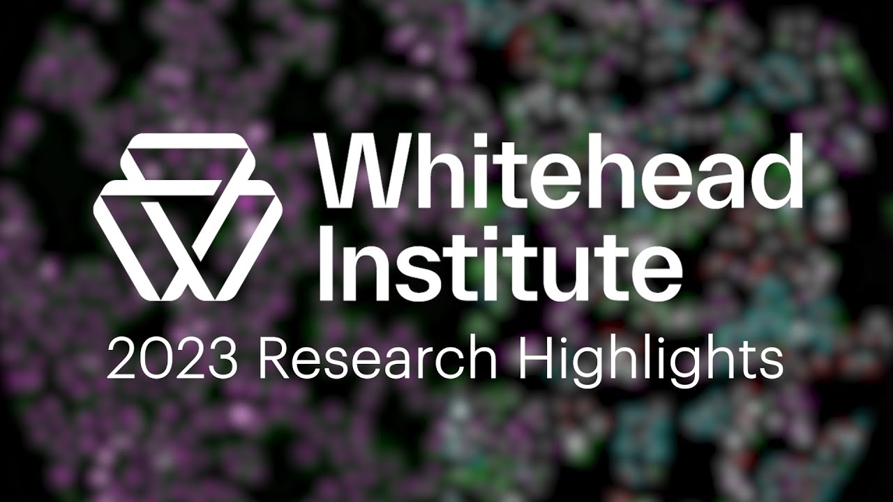 Fall/Winter 2023 | Whitehead Institute Research Highlights - YouTube
