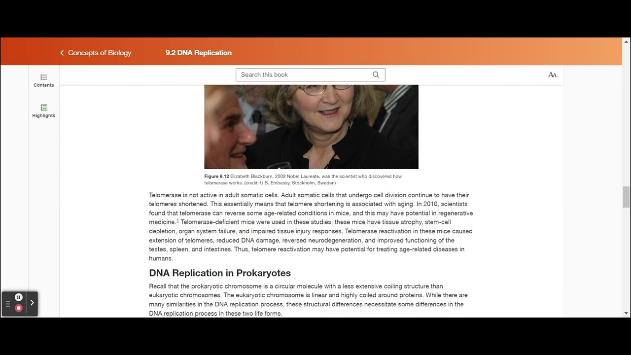 9.2 DNA Replication - Concepts of Biology | OpenStax - YouTube
