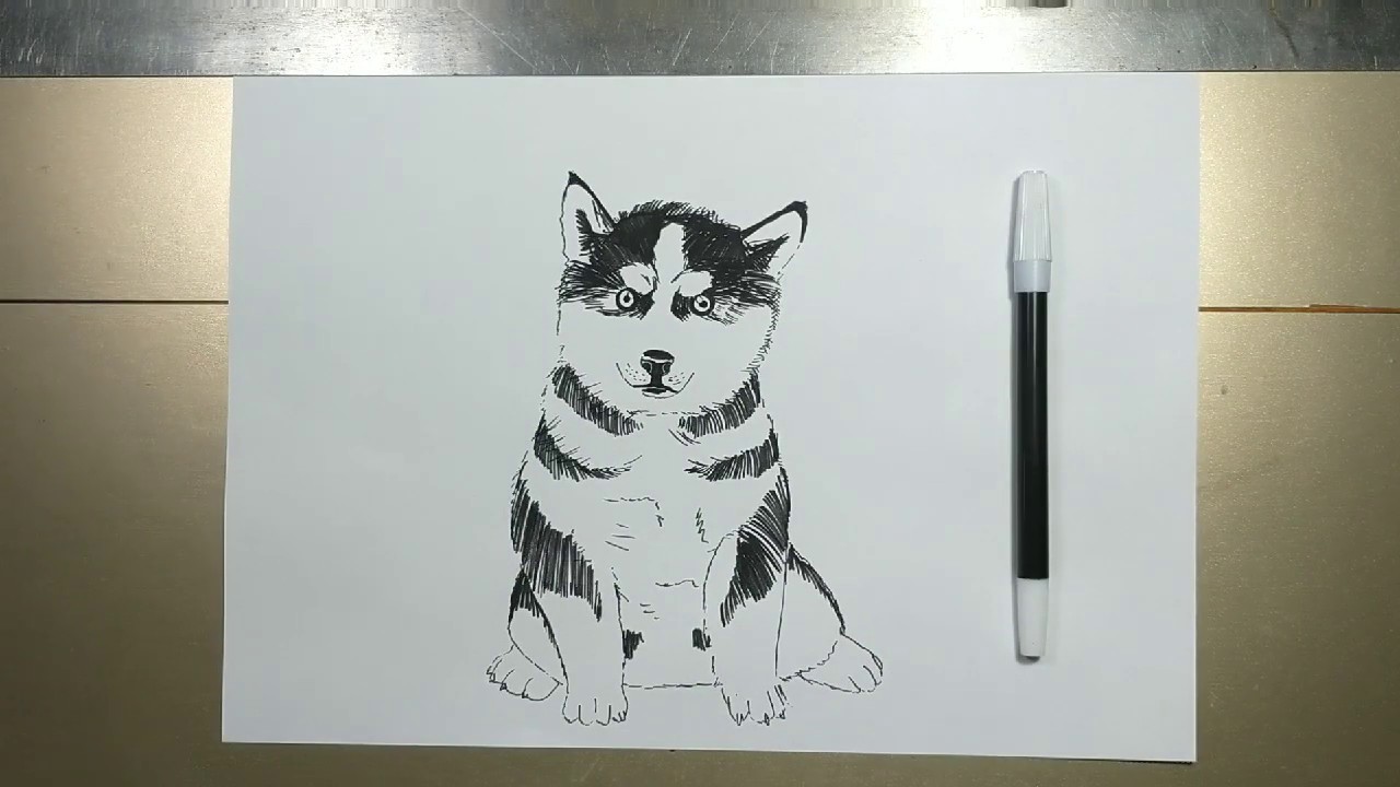 How to draw SITTING PUPPY step by step - YouTube