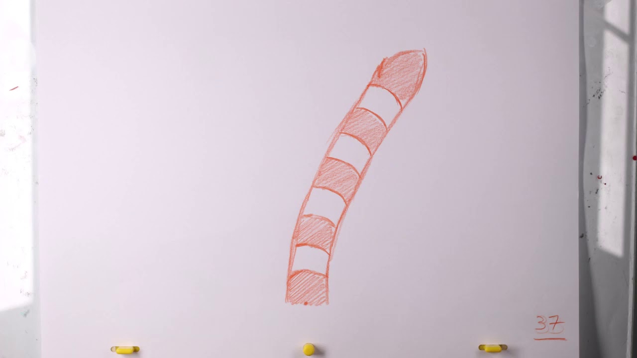 TAIL ANIMATION - YouTube