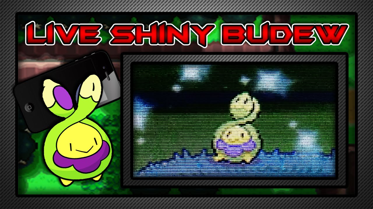 [LIVE!] Shiny Budew after 3,198 Encounters! [Platinum #2] [Badge quest ...