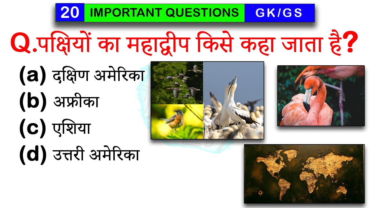 gk/gs 20 top questions and answer with photo #ssc #gkinhindi #gkquiz ...