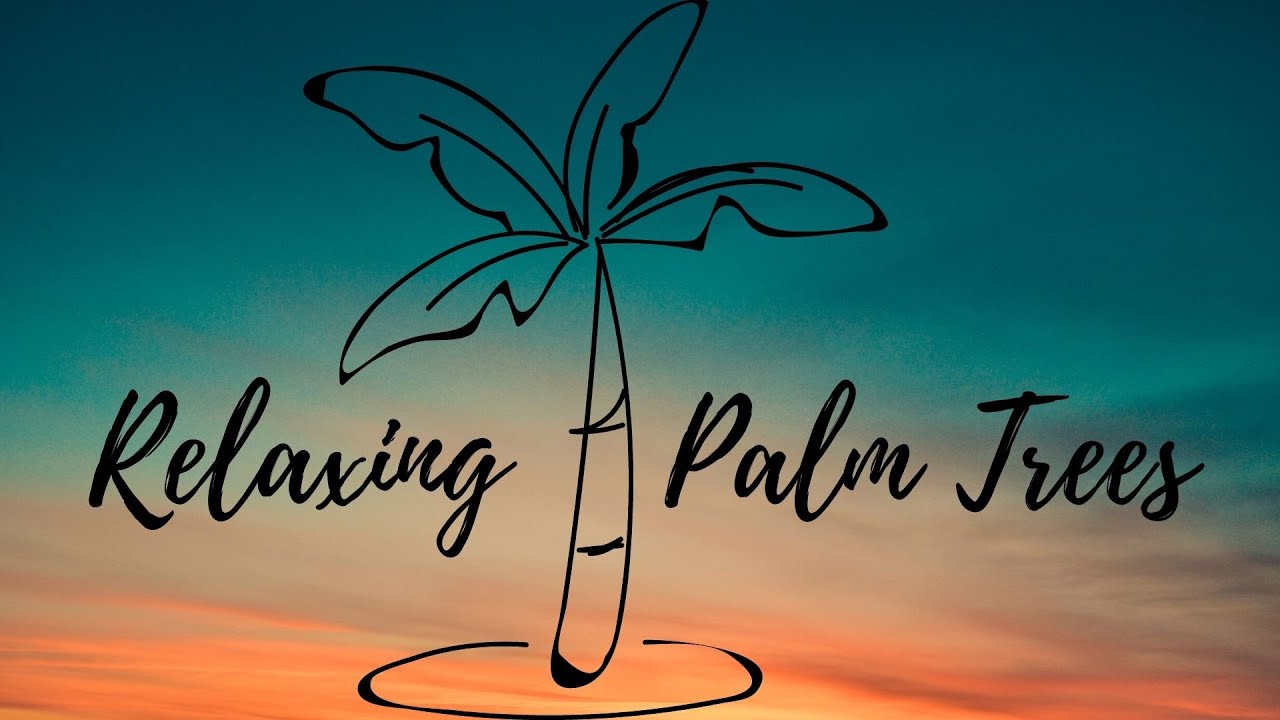 relaxing music and palm trees - YouTube