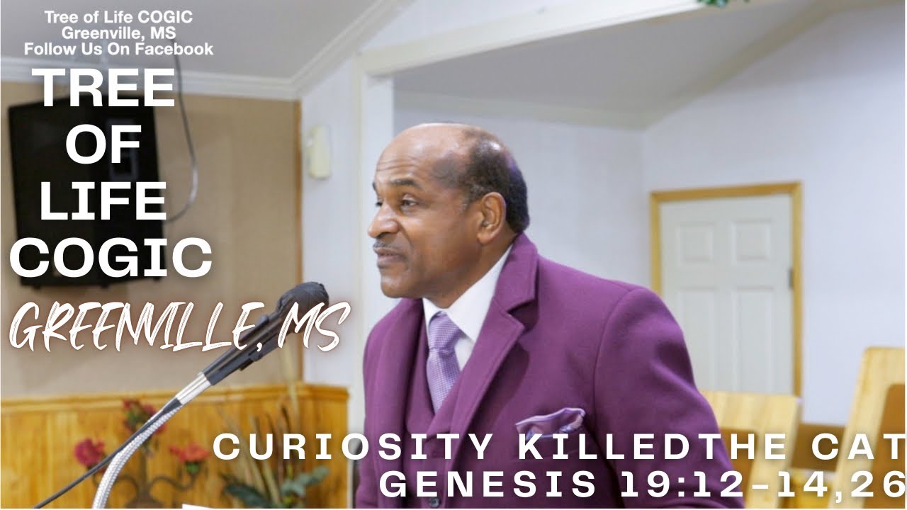 Curiosity Killed the Cat|Tree of Life COGIC |Pastor Darrien Williams ...