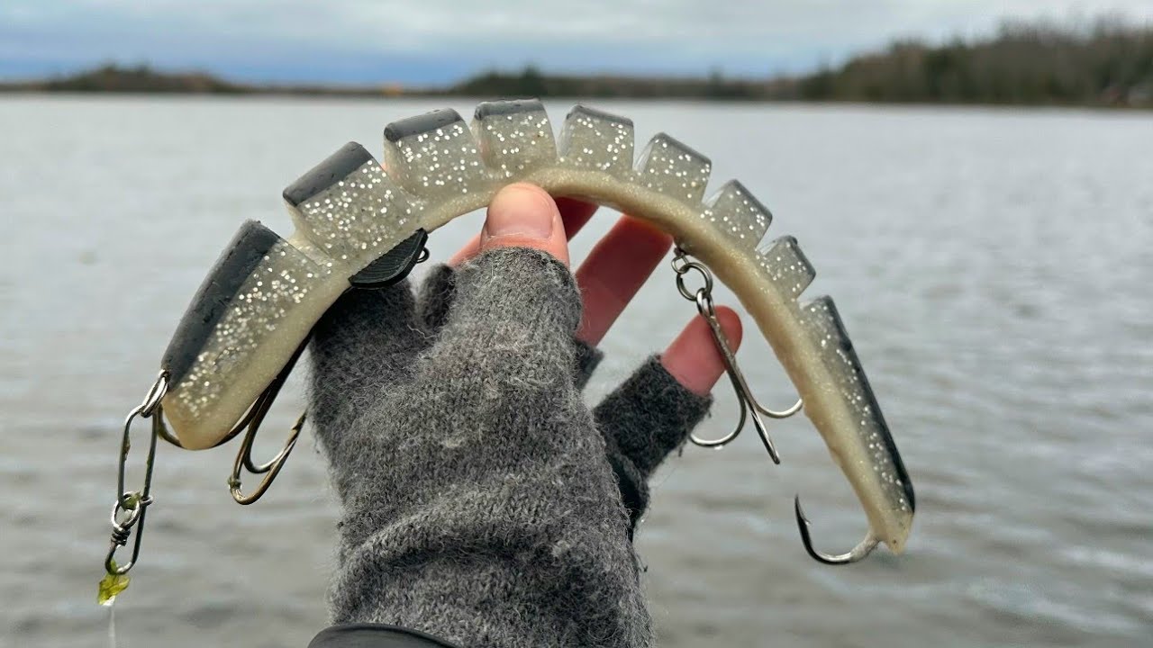 Minnesota Fall Musky Fishing!! - YouTube