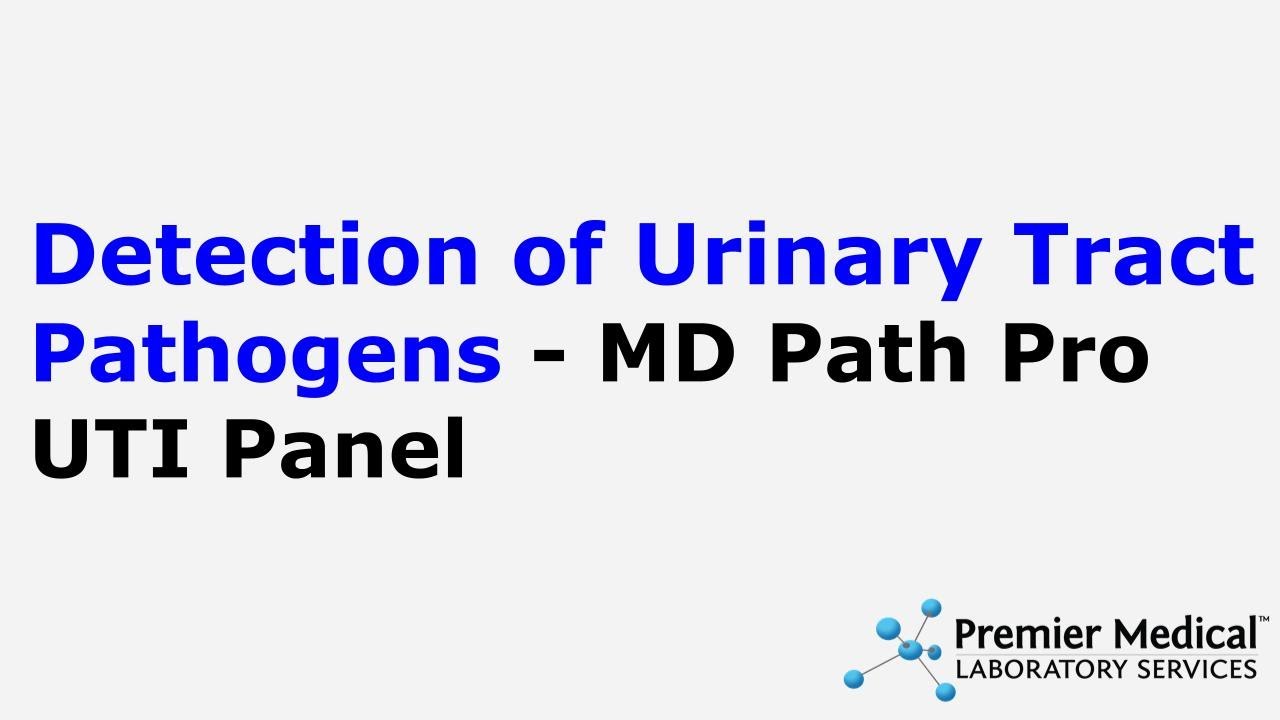 MD Path Pro UTI Panel - Premier Medical Laboratory Services - YouTube