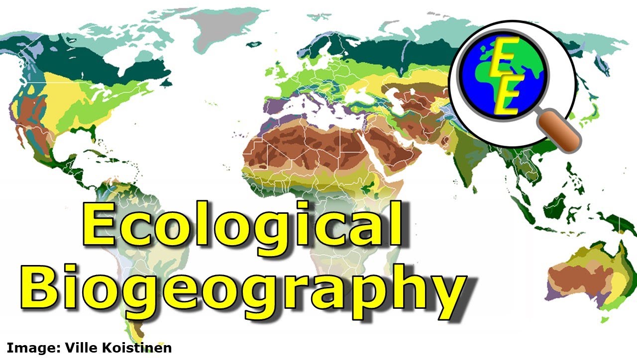 Ecological Biogeography: Modern Biomes and Ecosystems - YouTube