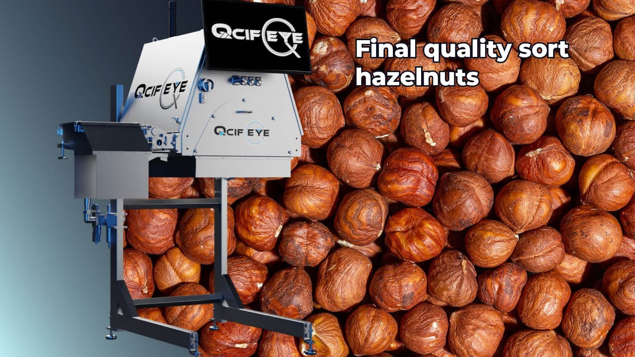 Optical Sorting with Deep Learning: Qcify EYE - Hazelnuts - YouTube
