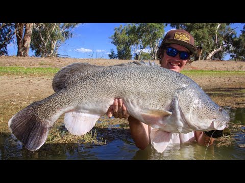 DARLING RIVER COD RELEASE