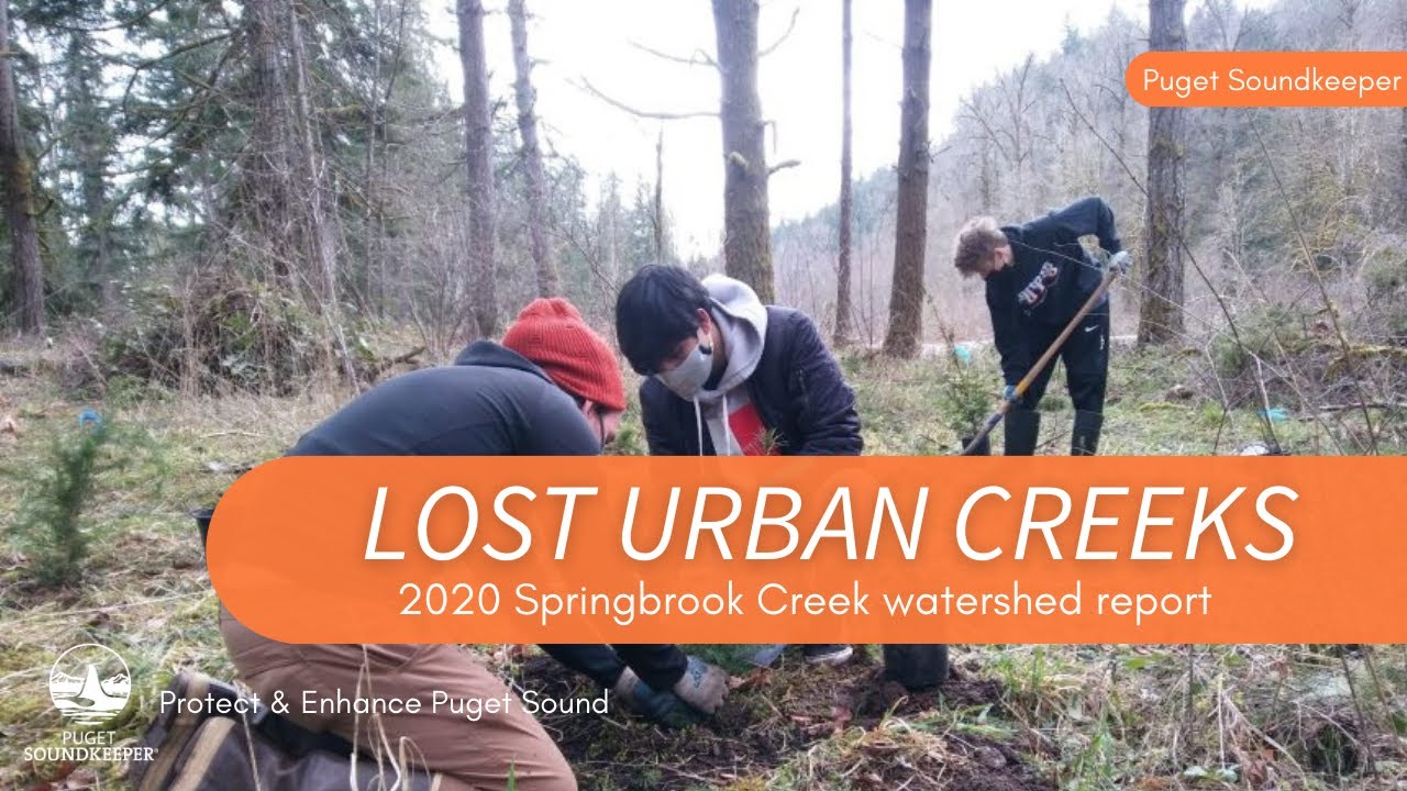 Springbrook Creek Watershed Water Quality Monitoring Report: A Lost ...