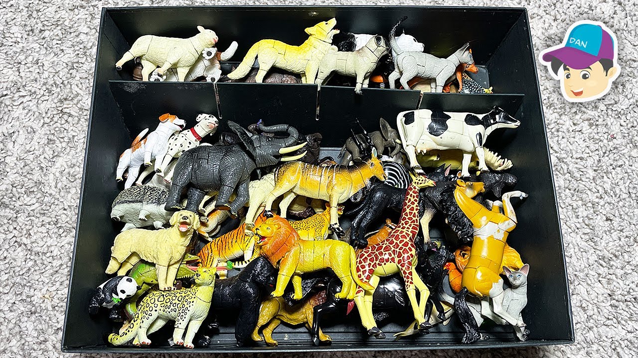 BIG BOX OF 3D ANIMAL PUZZLE - Lion Elephant Pig Bear Tiger - YouTube