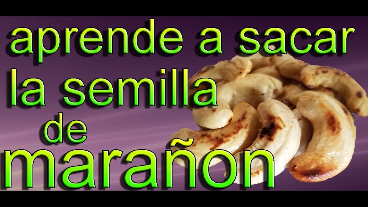 Semilla De Pajuil