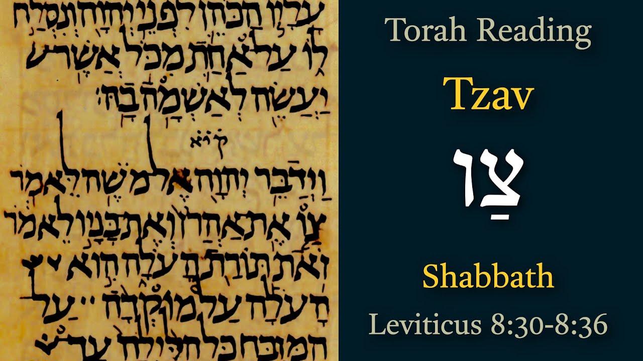 Tsav - Day 7 | Torah Portion | 12-Apr-2025 | Leviticus 8:30-8:36 - YouTube