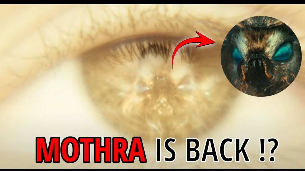 Mothra Is Back!!! In Godzilla X Kong: The New Empire And What Can We ...