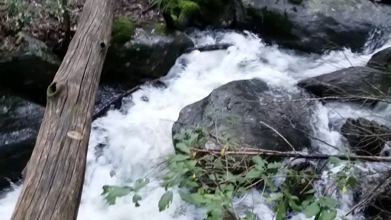 Tumbling Run Michaux state forest PA 1 - YouTube