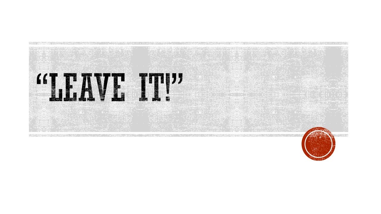 How to say in Spoken Arabic "Leave it!" - YouTube