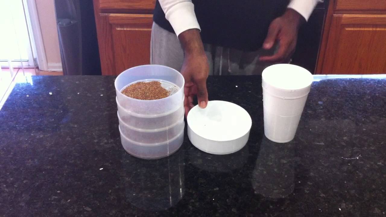 Victorio 4-Tray Seed Sprouter [Review/Demo] - #BEtv - YouTube