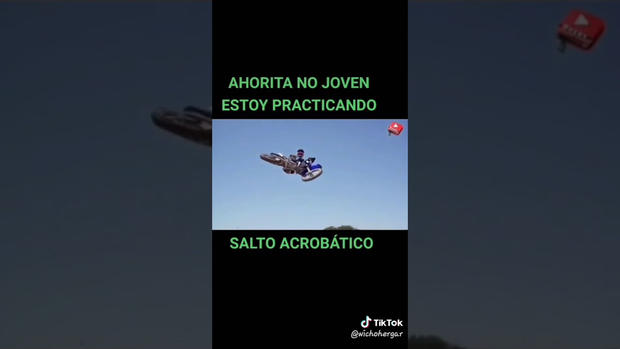 Perro acrobático 🐶 - YouTube