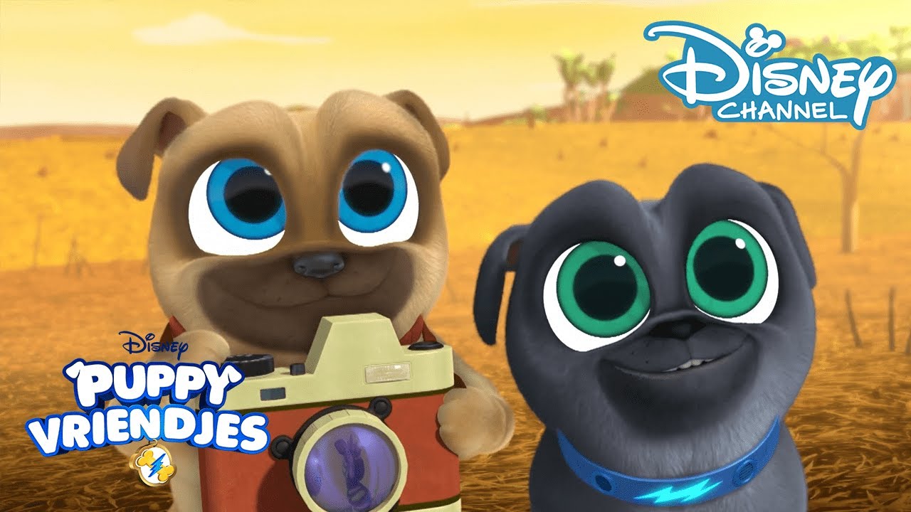 Puppy Vriendjes | Klik, Op De Foto! 📸 | Disney Channel NL - YouTube