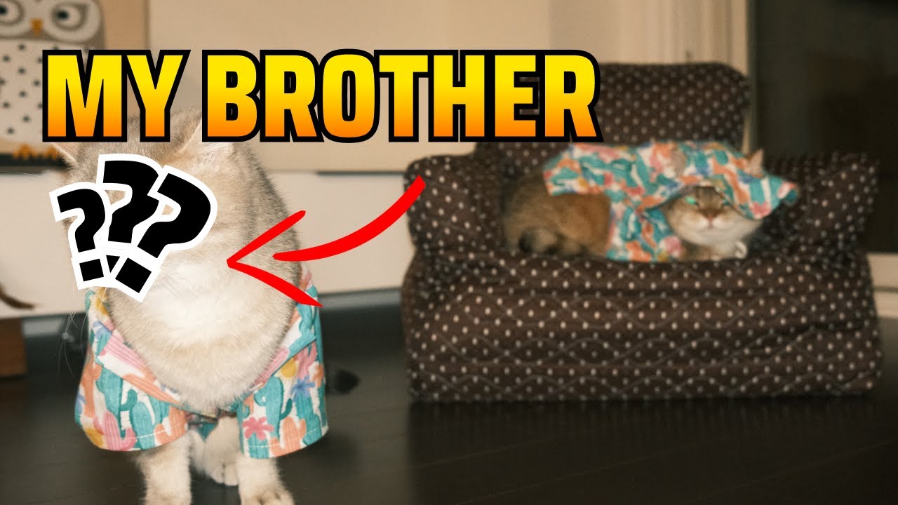 Weekend Play date with my brother Chubbs - YouTube