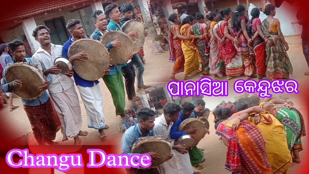 Changu Dance Panasia Kendujhar ll ପାନାସିଆ ଚାଙ୍ଗୁ ଡ୍ୟାନ୍ସ କେନ୍ଦୁଝର ...