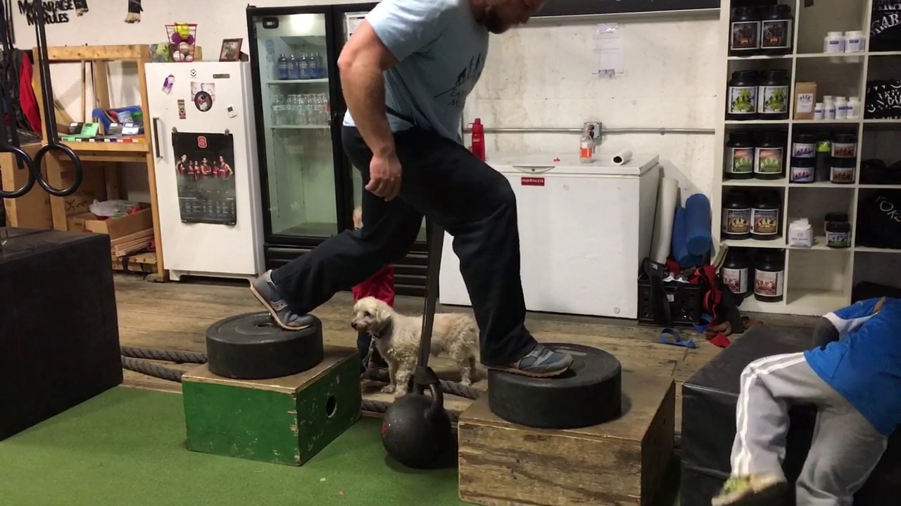 Movement Library: Banded Split Squat/ISO Lunge Hold - YouTube