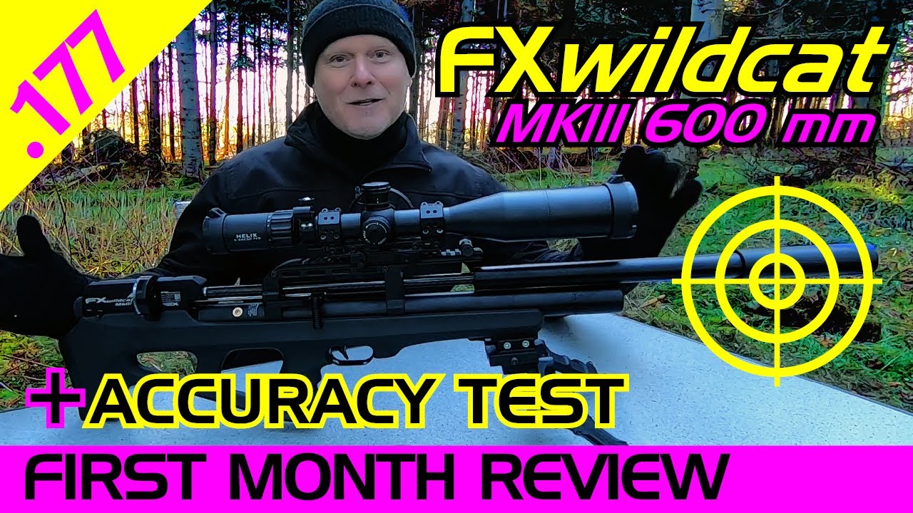 FX Wildcat MK3 600 mm First Month Review and Accuracy Test - YouTube