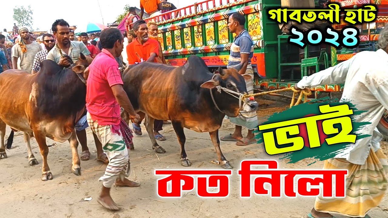 Bhai Koto Nilo 2024 || Gabtoli Gorur Hat 2024 Part-28 | Qurbani Cow ...