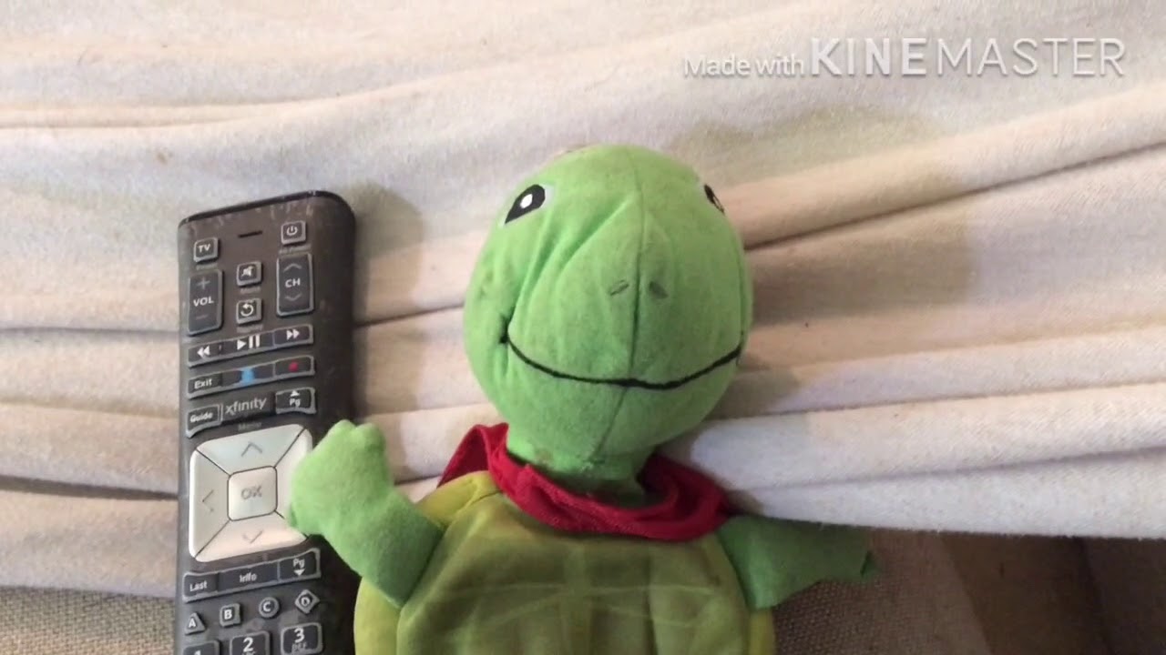 Turtle Tuck Going Nickelodeon 2010 - YouTube