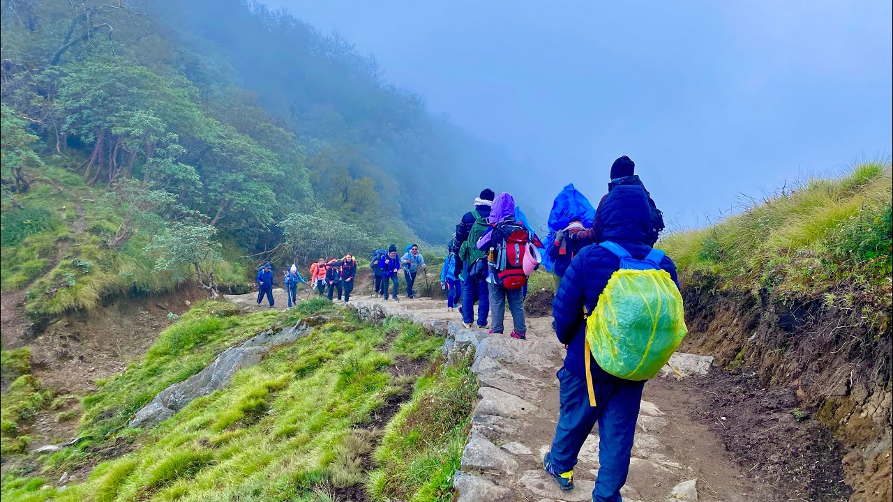 Mardi High camp । Best trek near Pokhara । Mardi trek । Prayash Dumi ...