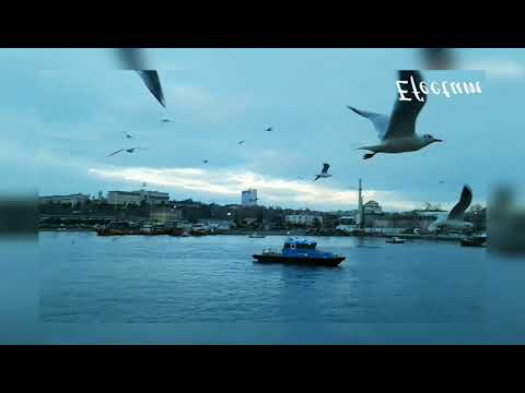 kuş ölür, sen uçuşu hatırla   \