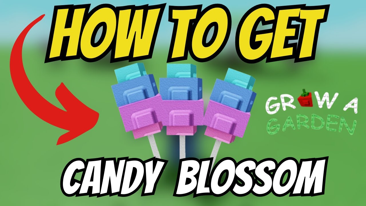 CANDY BLOSSOM SHOWCASE In Grow A Garden! (2025) - YouTube