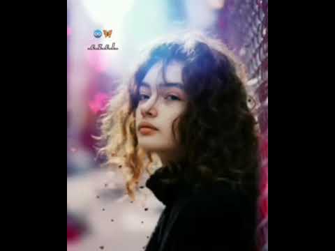 WhatsApp üçün statuslar, videolar, mahnılar, mp3, mp4 ler. Sevgi statusları, mənalı statuslar
