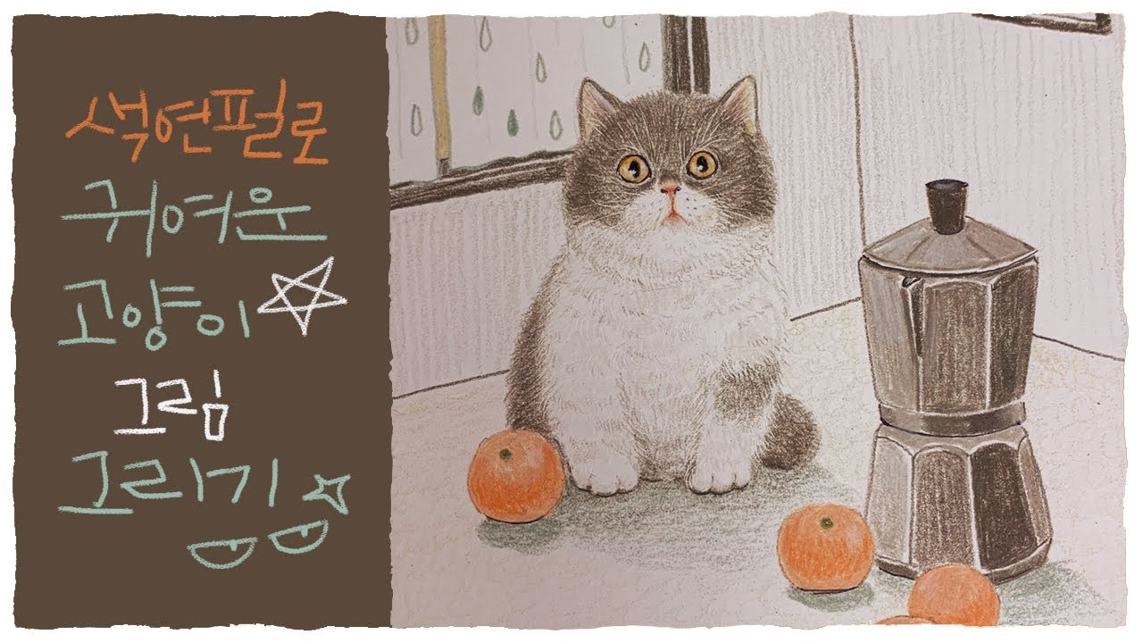 색연필로 귀여운 고양이 그림 그리기 How To Drawing A Cat By Colored Pencils Youtube