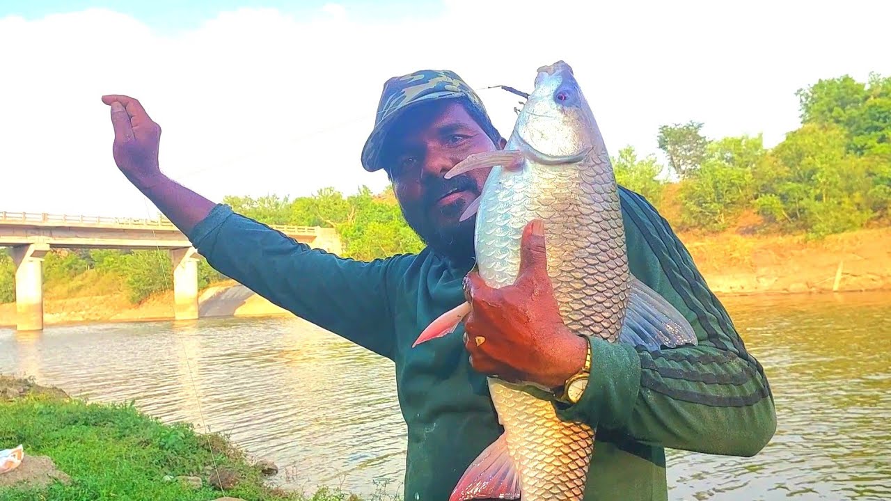 🐟Hyderabad Singh Shikaar | Unbelievable Fishing video | Big Rohu Fish ...