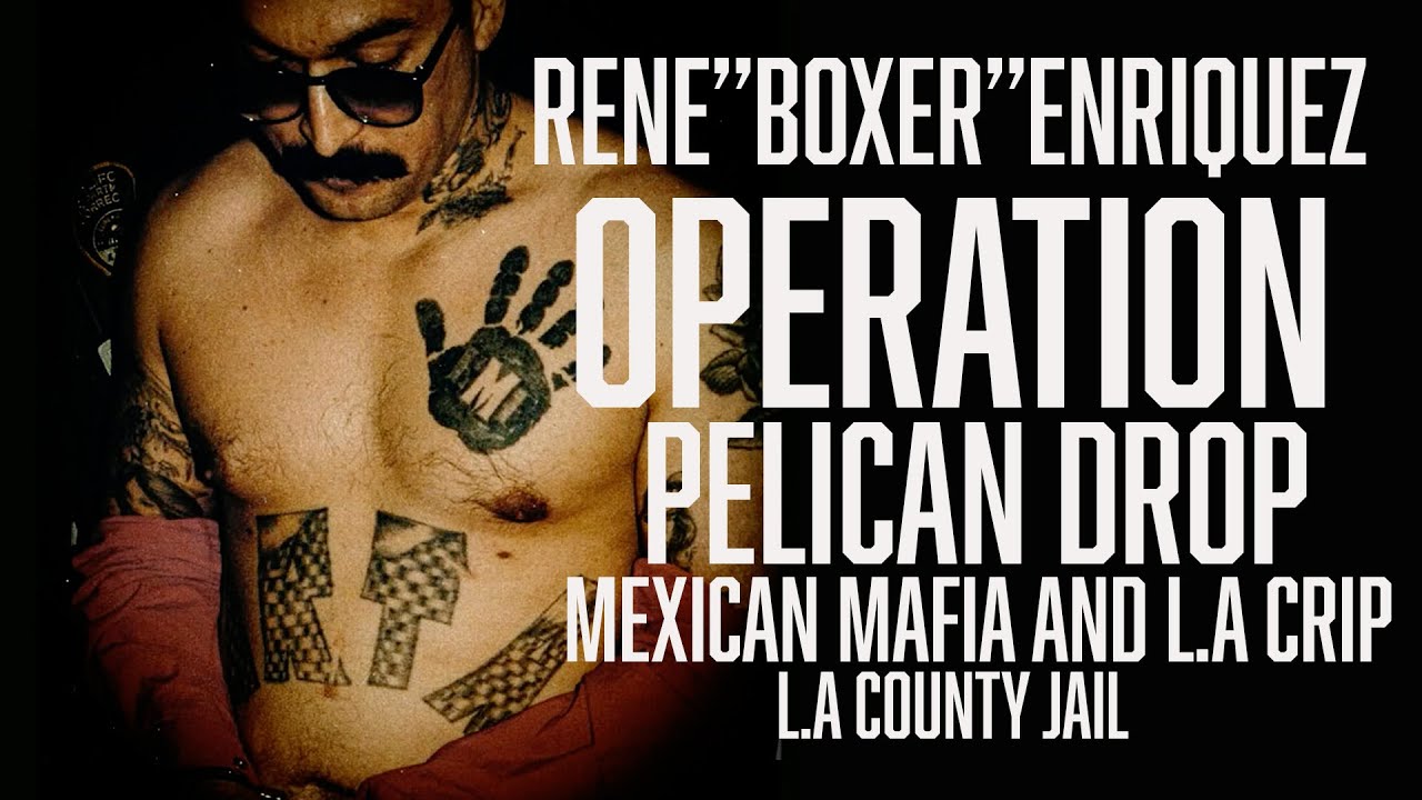 Extraordinary Security Transport: Mexican Mafia, Crips, BGF, AB. - YouTube