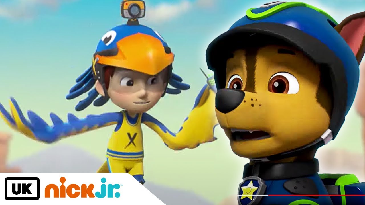 Paw Patrol | Pups Save a Mascot 🦅 | Nick Jr. UK - YouTube