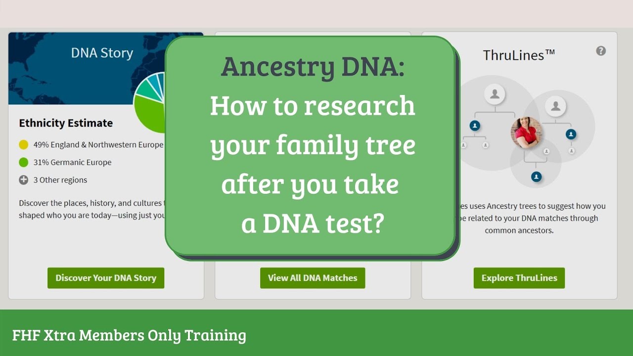 Ancestry DNA: What to Do After You Get Your Results? | Genetic ...