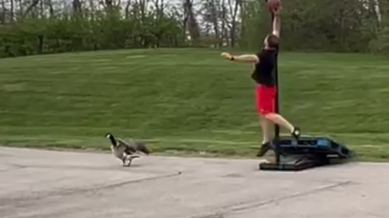 CrossFitter Dunks on Goose - YouTube