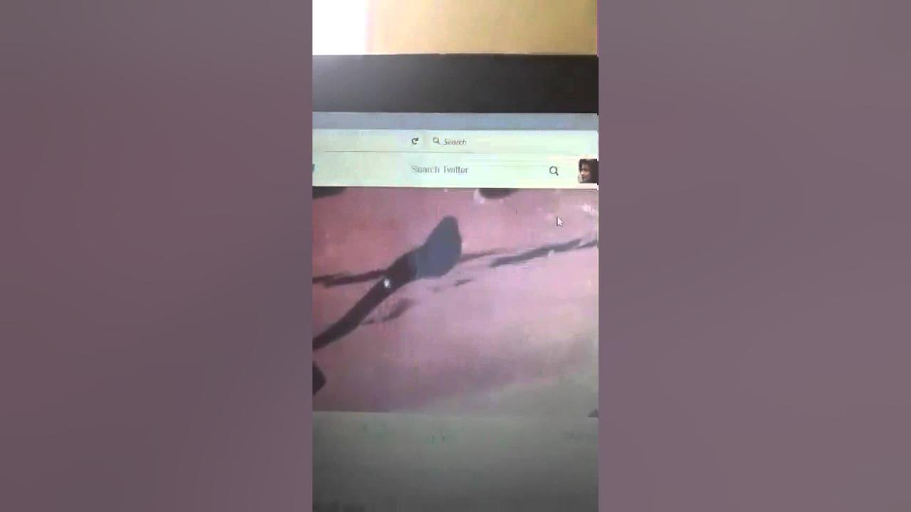 Twitter Advanced Search Tutorial - YouTube