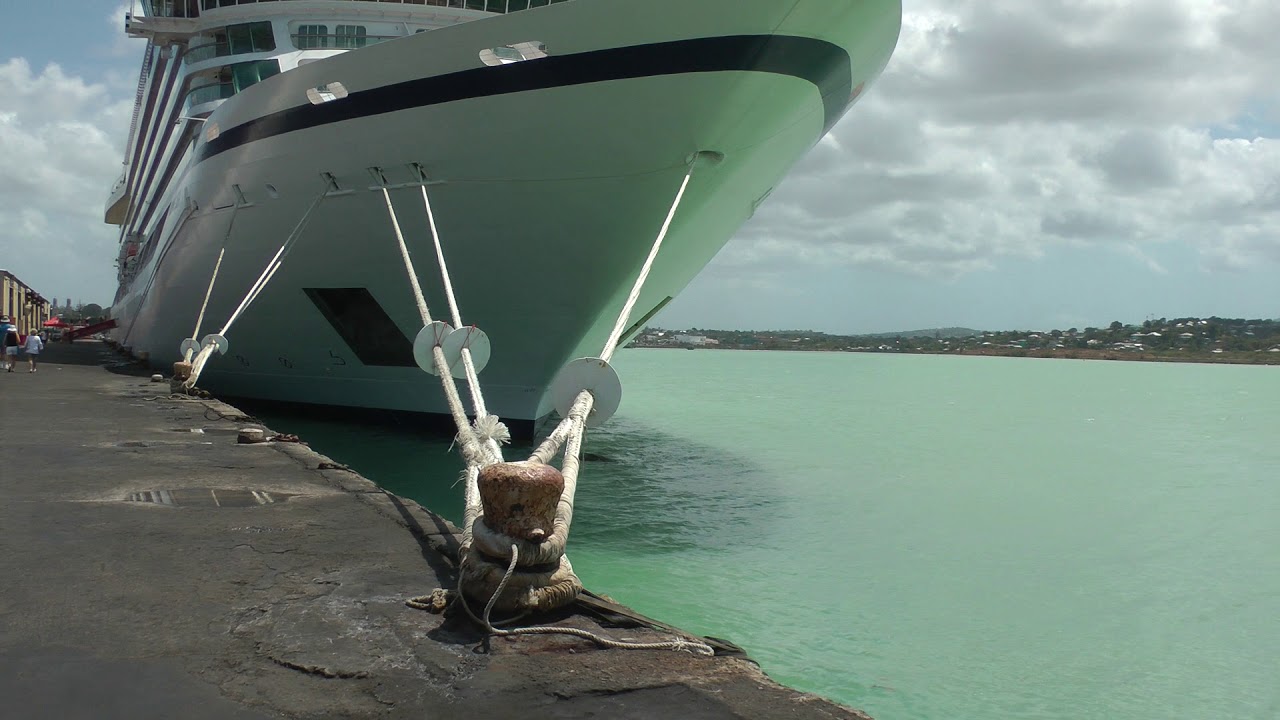 comparison of rat guards between 2 different cruise ships in the ...