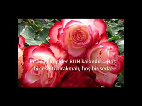 SUZAN'CA SÖZLER