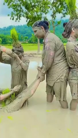 Dhan ropne haru 😂😂😂 #villagelife #rurallife - YouTube