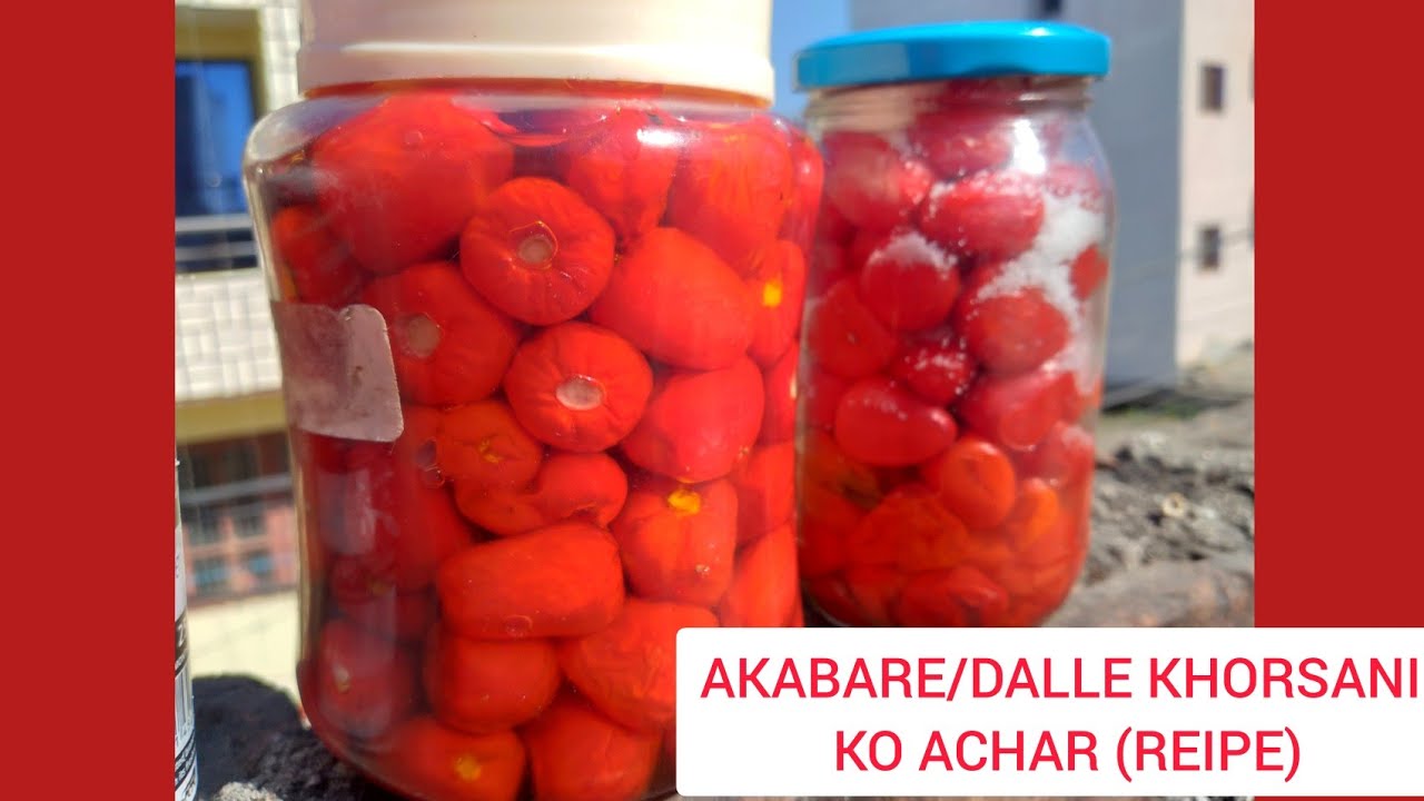 [NEPALI RECIPE] AKABARE/DALLE KHORSANI KO ACHAR | MY DREAMS - YouTube