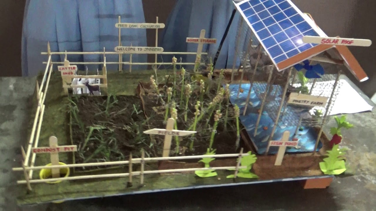 Multi Level Cultivation || Science Exhibition || - YouTube