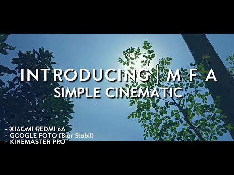 Simple Cinematic - INTRODUCING #1