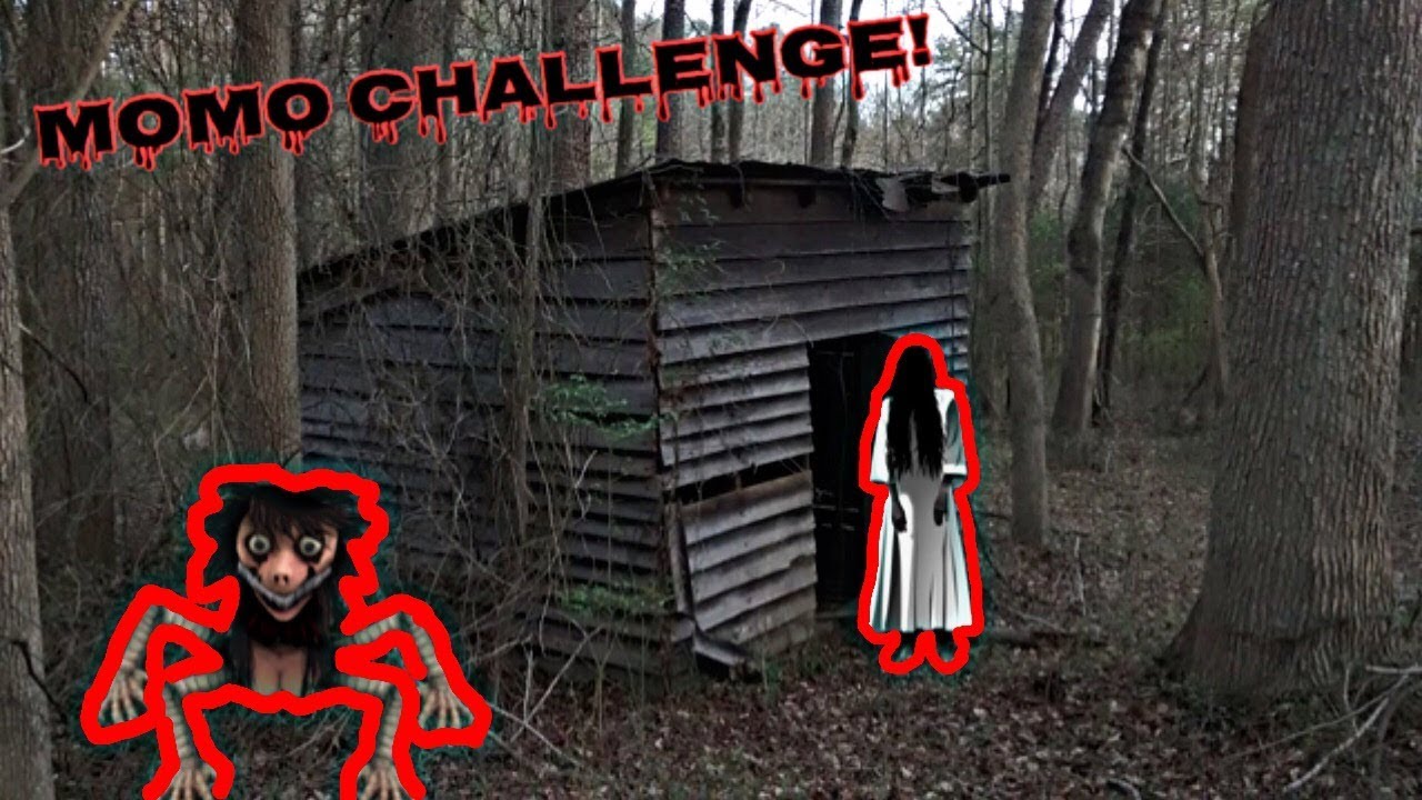 WE WENT TO THE SLENDERMAN FOREST AGAIN! (MOMO CHALLENGE) - YouTube