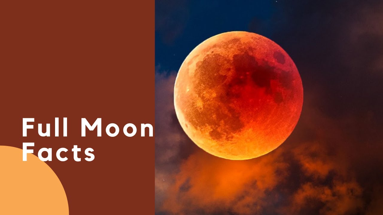 Full Moon Facts | Earth Sciences - YouTube